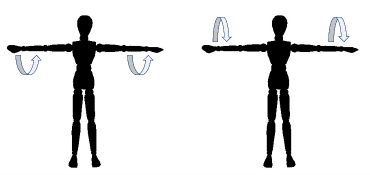 Movement Library | Ohio University