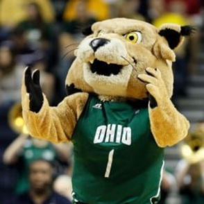 Sample Web Elements Page | Ohio University