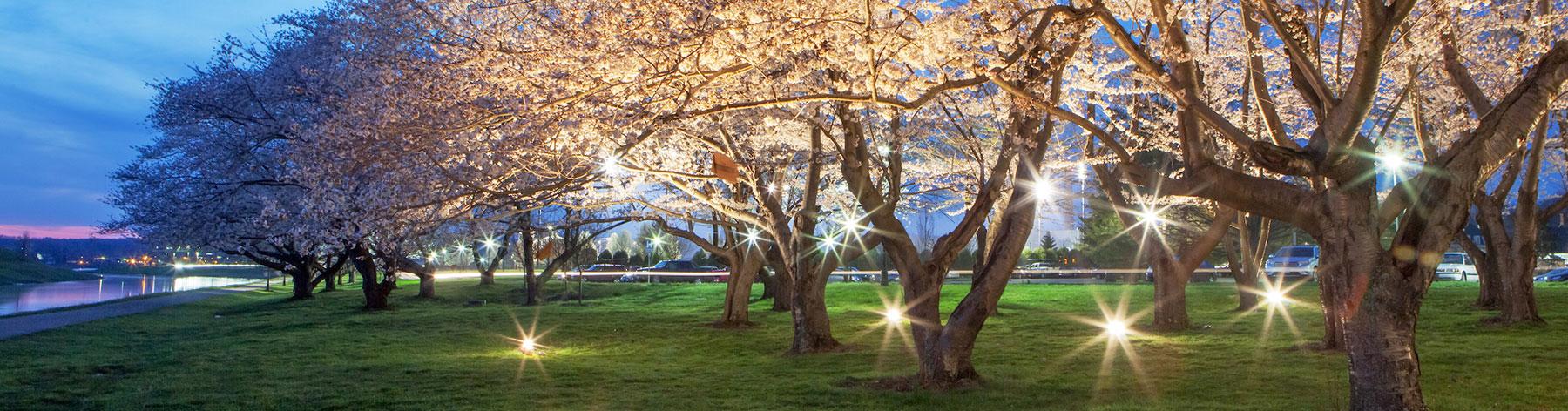 University Communications and Marketing | Ohio University