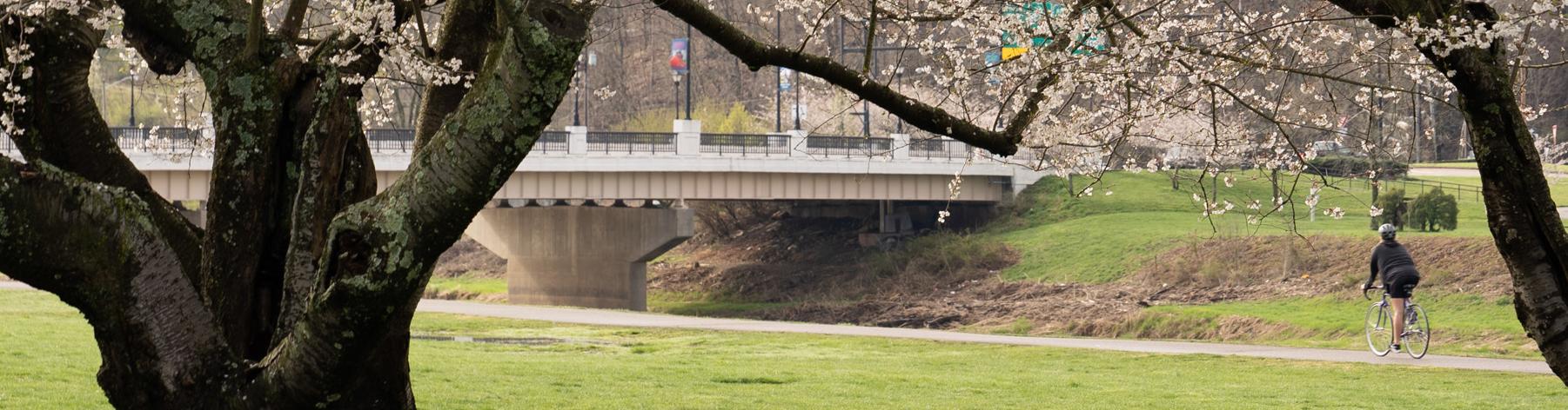 Spring Semester Hall Closing | Ohio University