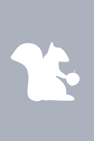 Central Operations and Administrative Staff | Ohio University