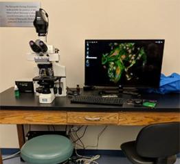 Widefield Fluorescence Microscope | Ohio University