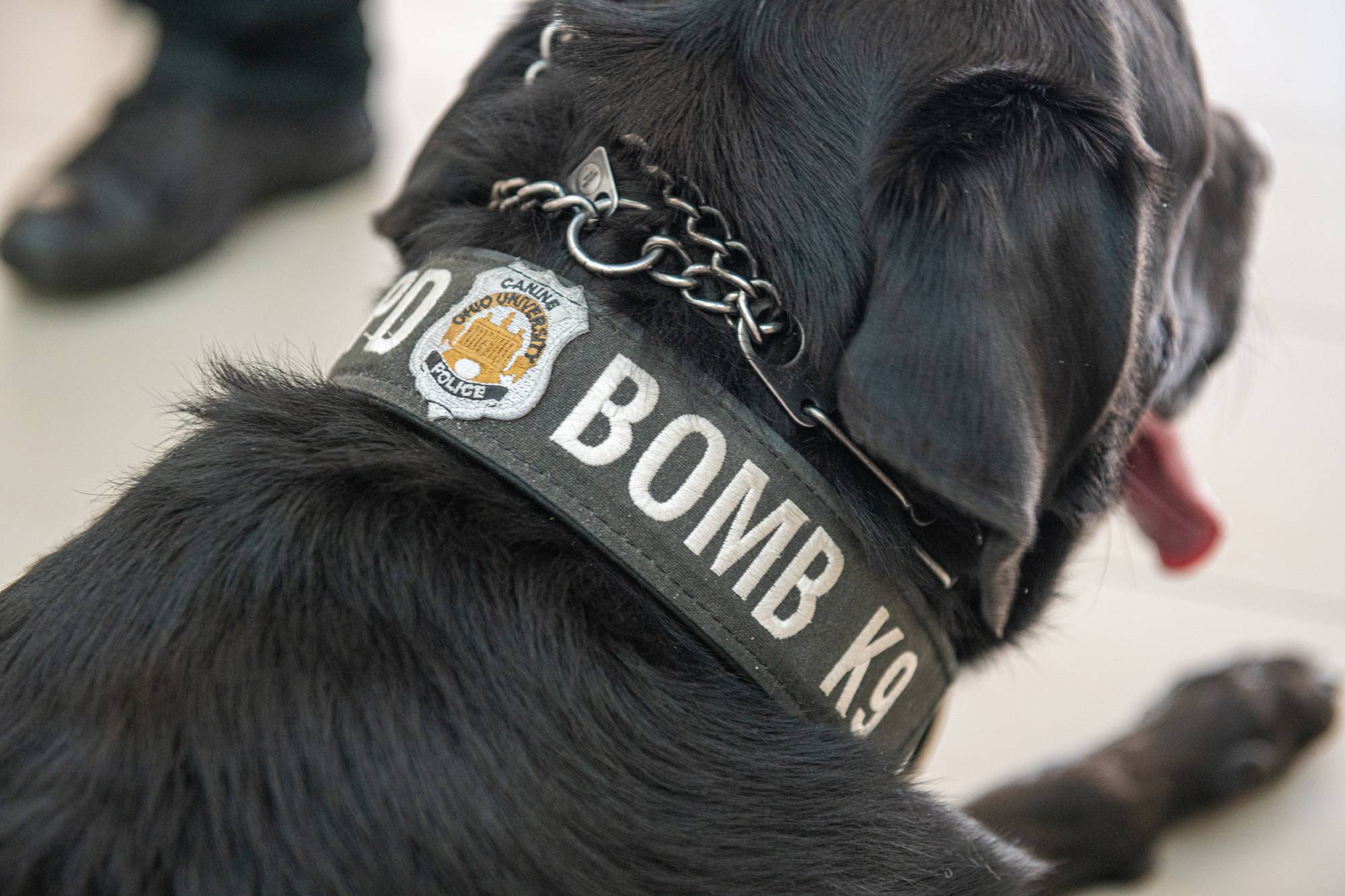 A ruff job: K9 team keeps OHIO safe
