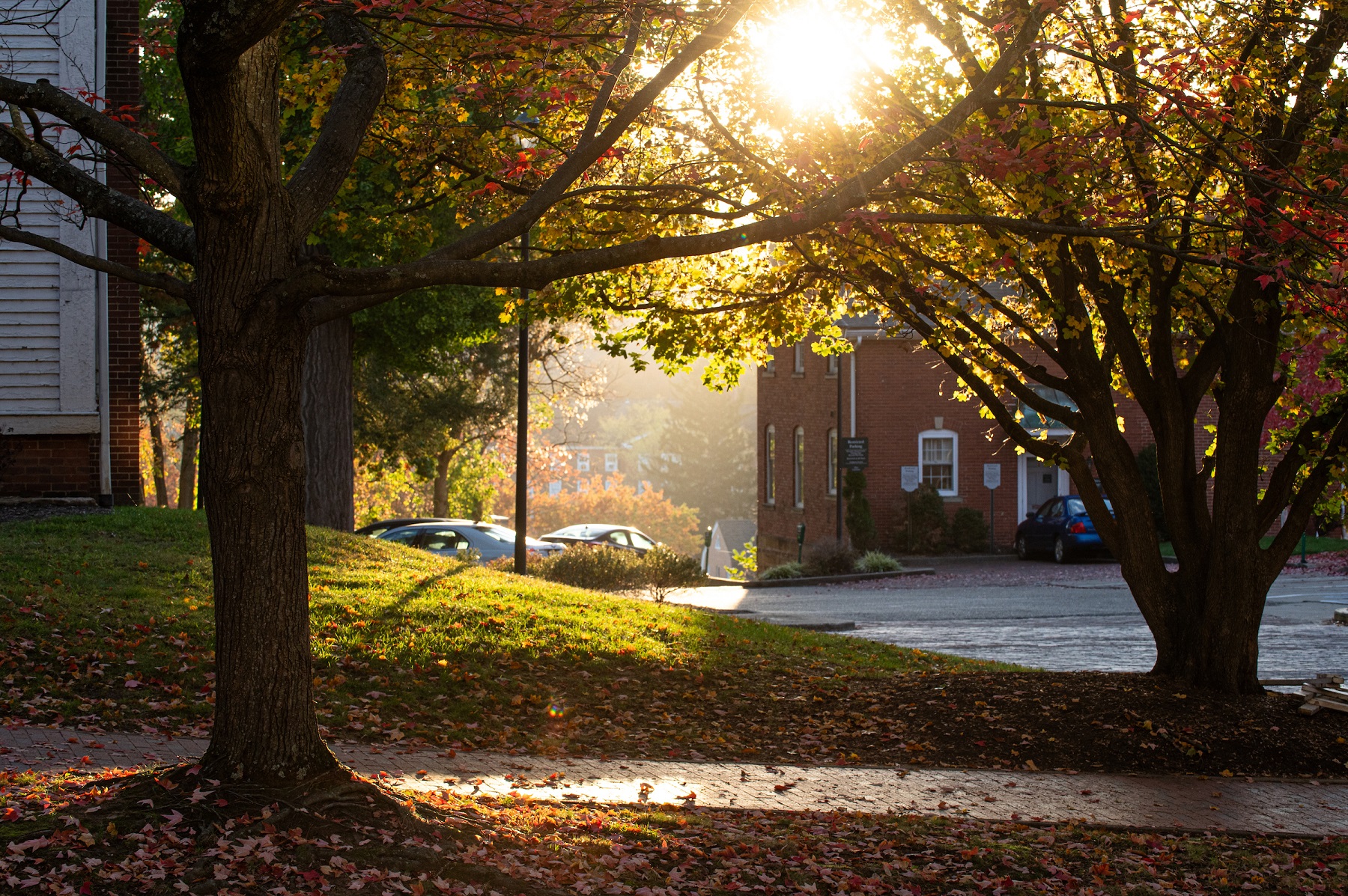 Senior Associate Registrar Bob DeLong retiring after 39+ years of service