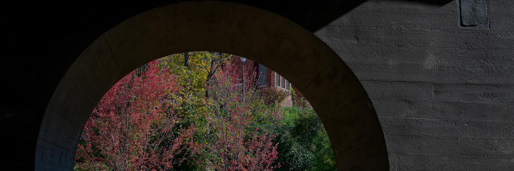 Community Risk and Resilience Certificate | Ohio University